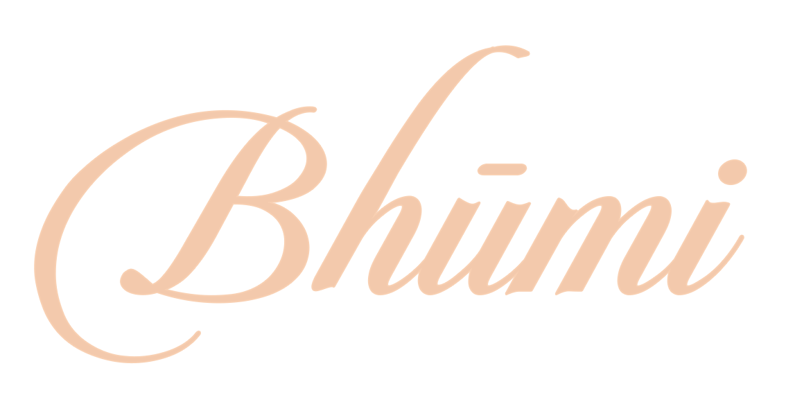 Bhumi Retail logo
